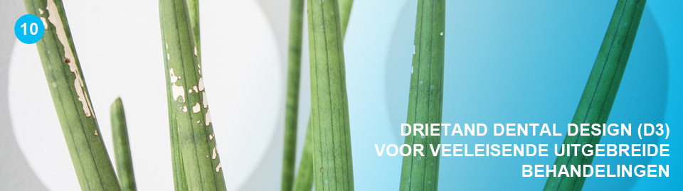 De Drietand - Maastricht